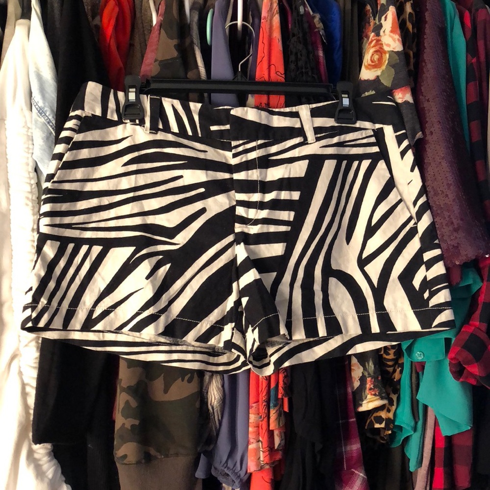 6 Loft Zebra Print Shorts - Gem